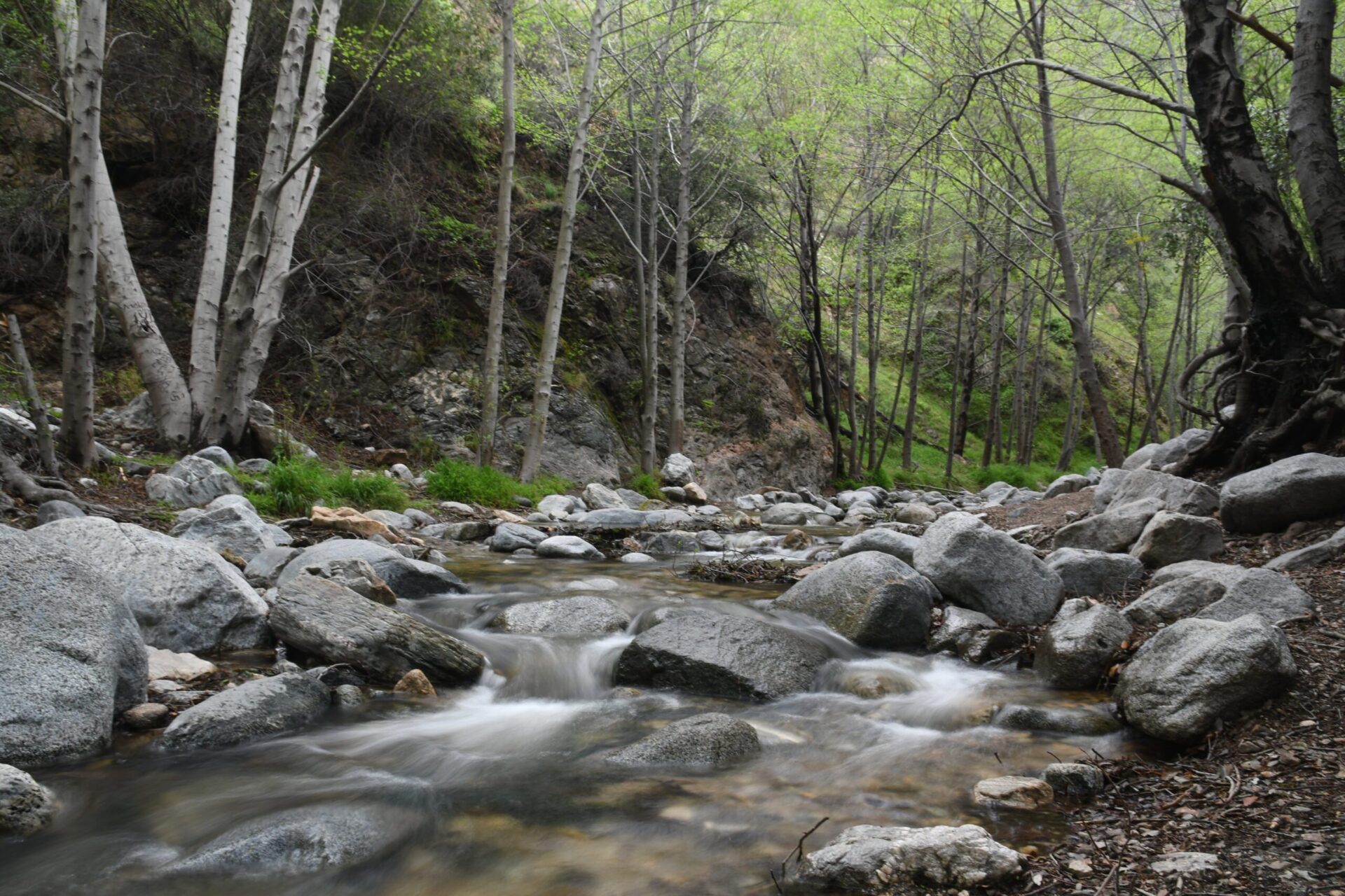 © Tom Mills – MyEatonCanyon.com