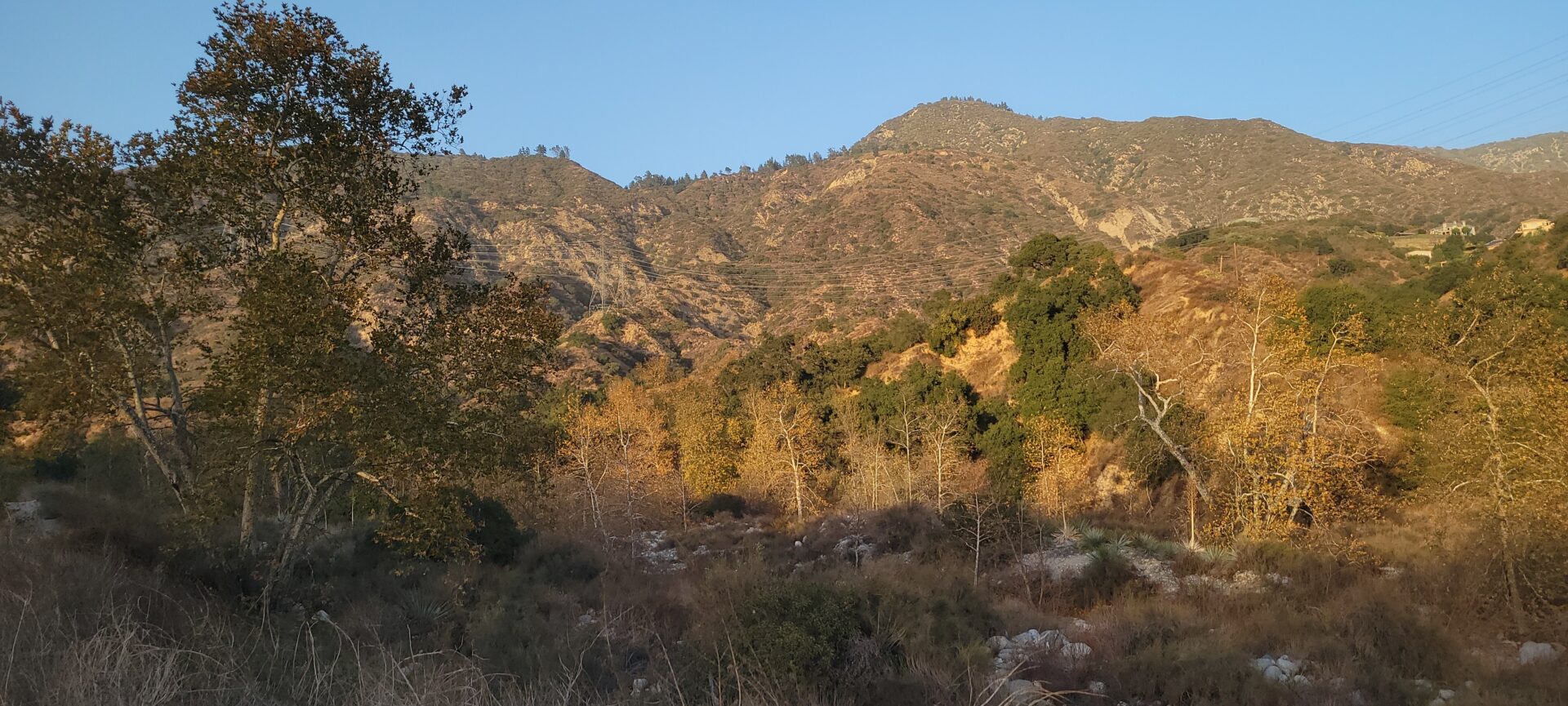 Eaton Canyon Nature Center, Natural Area, And Half Of Altadena Leveled ...