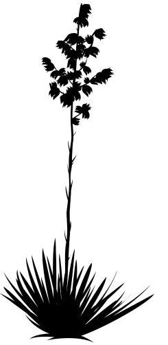 MyEatonCanyon-logo-yucca-bl – MyEatonCanyon.com